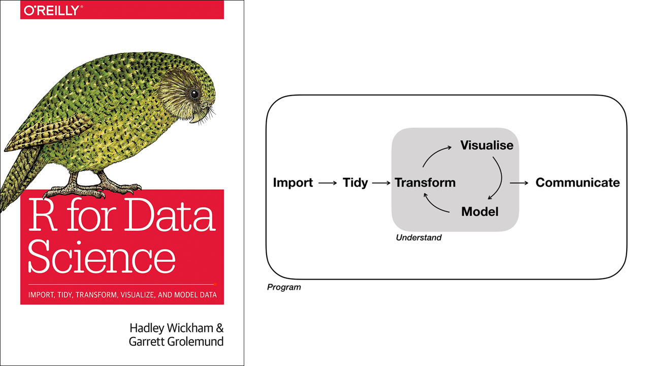 Exercises of the book 'R for Data Science' | Francisco Yirá